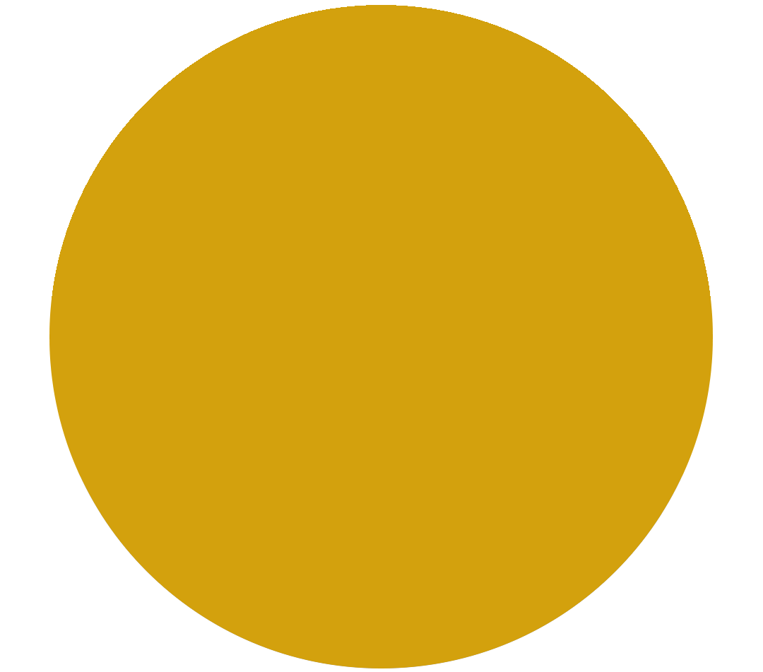 Logo-Animation SVG - professionelle Animationen